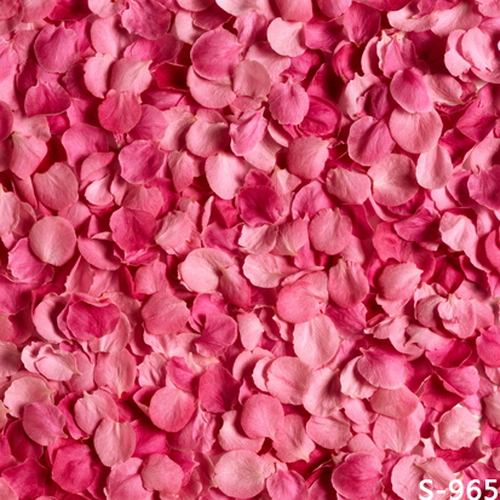 3x5ft Pink Flowers Backdrops Photography Backgrounds Photo Studio Baby ...